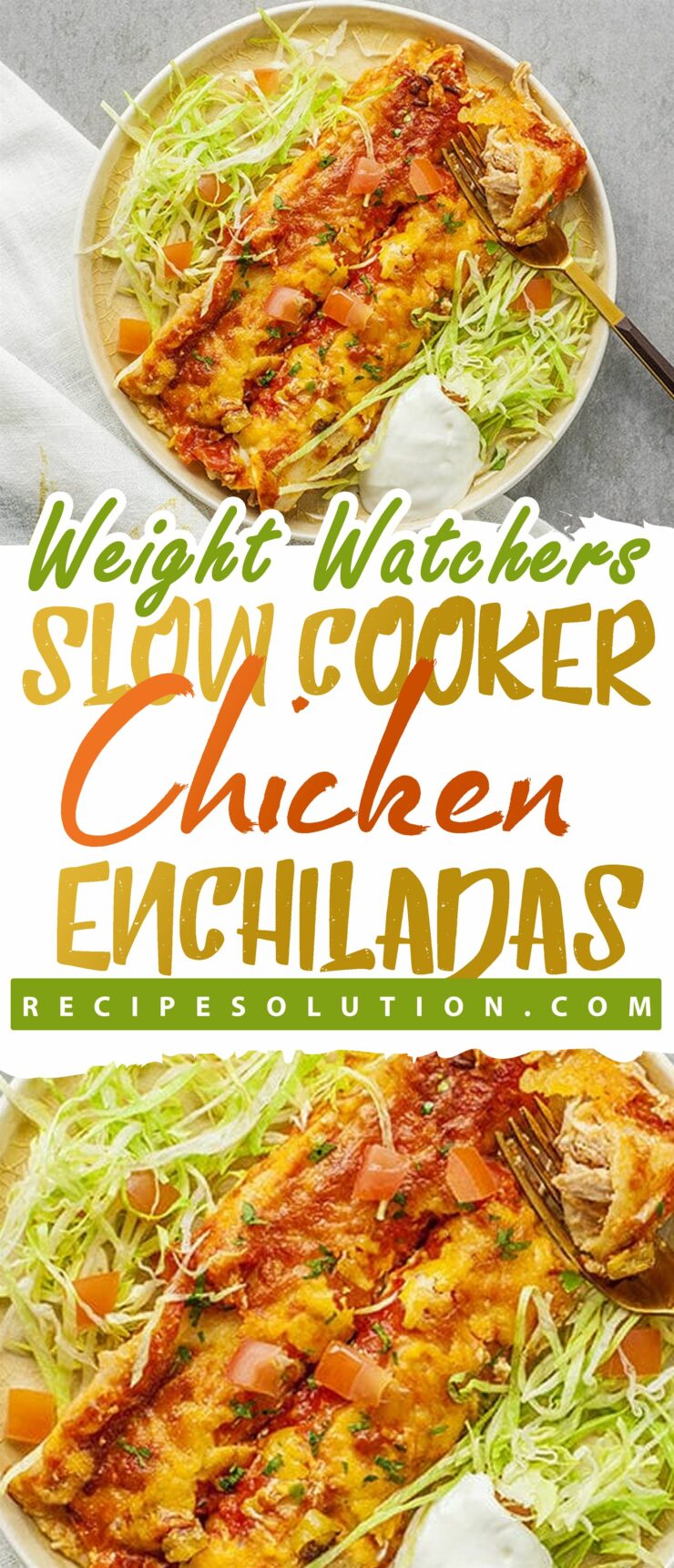 Slow Cooker Chicken Enchiladas - Pioneer COOKERY
